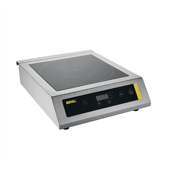 SPT Mr. Induction 3520-Watt 220-Volt Built-In Or Countertop Commercial ...